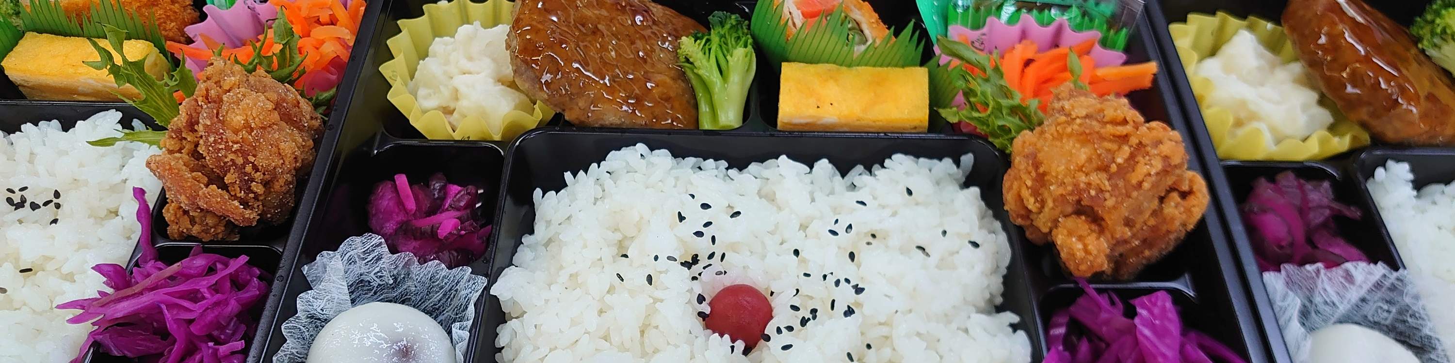 국영 히타치 해변공원 And 아시카가 플라워 파크미토 카이라쿠엔 파크 일일 투어 도쿄 출발 클룩 Klook 한국